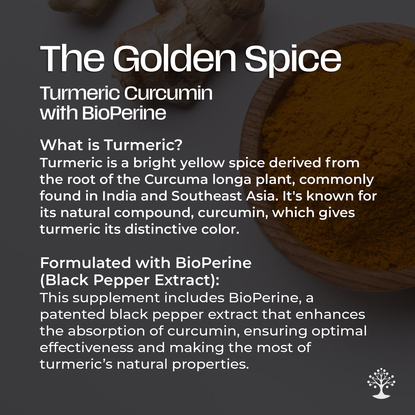 Turmeric Curcumin w/BioPerine – Socotra Health